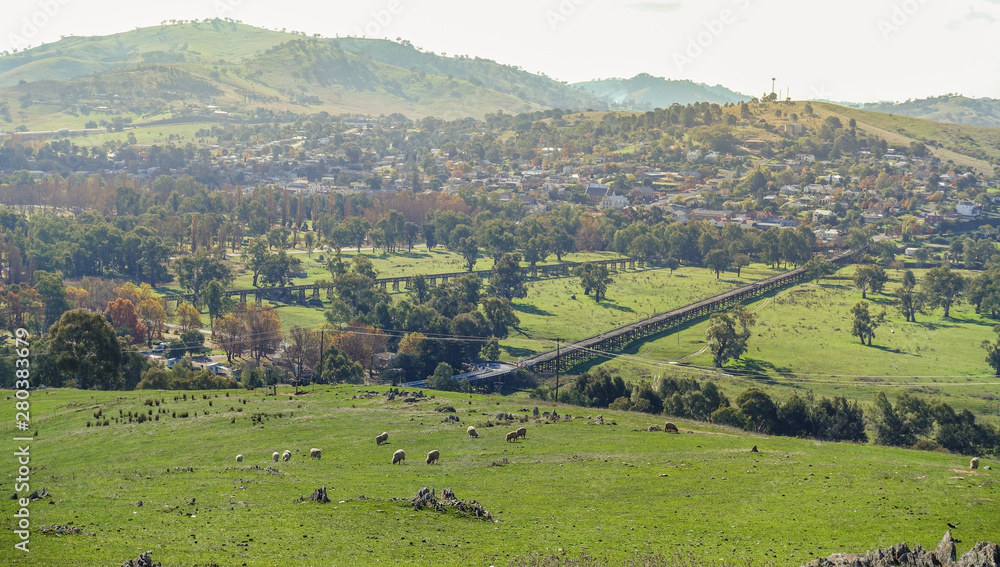 Foto de Typical Australian rural landscape - sheep grazing on green ...