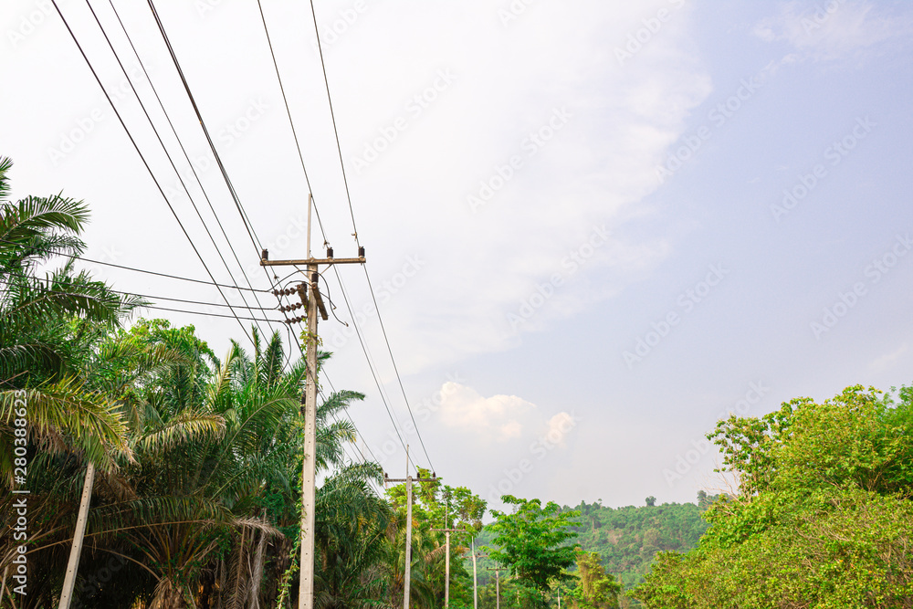 Electricity transmission line with green tree nature, Green ...