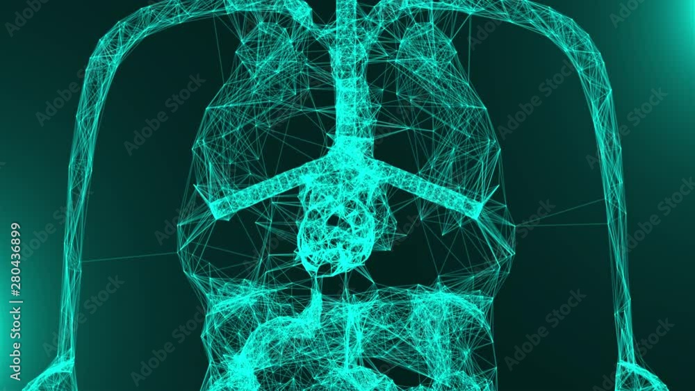 Anatomy human body model with connection dots, 3d rendering background ...