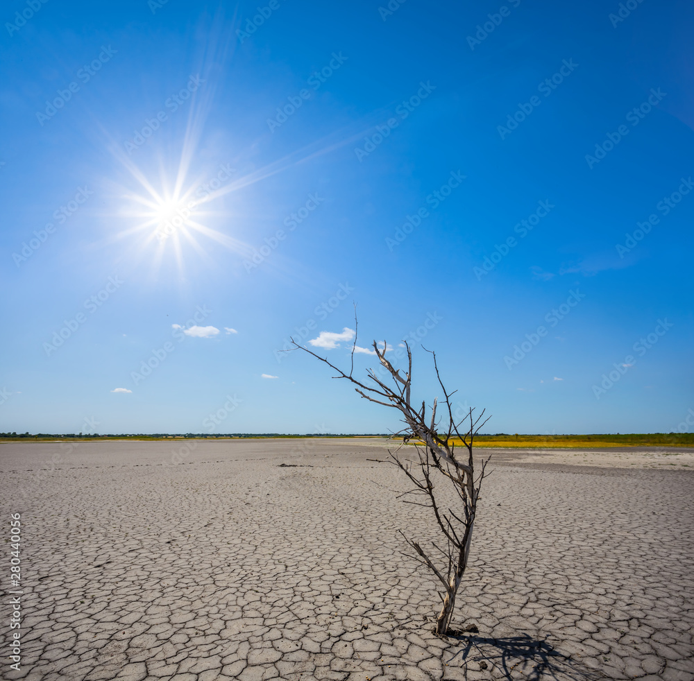 Venezuela In Hot Dry Summers