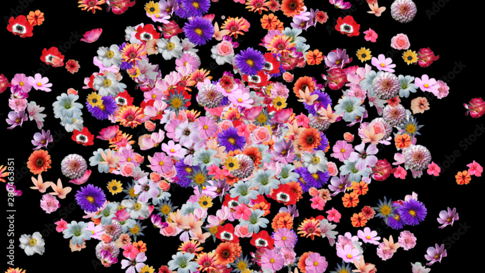 Flower Explosion Overlay Stock Template | Adobe Stock