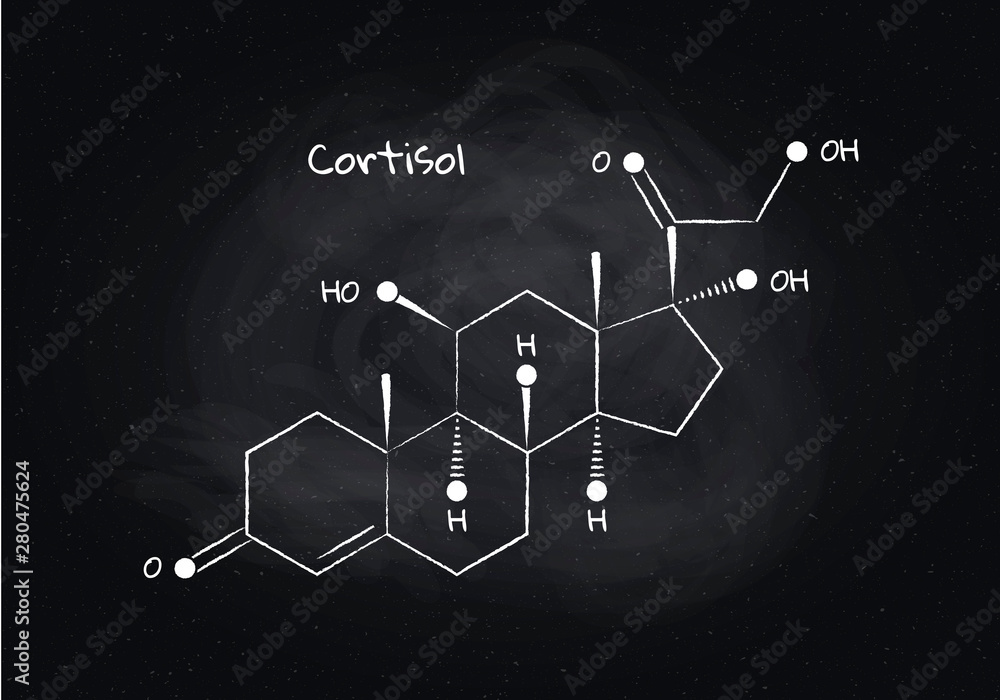 Vector cortisol structure banner illustration. Hormone Associated with ...
