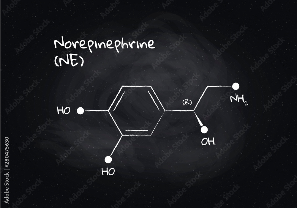 Vecteur Stock Vector norepinephrine structure banner illustration ...