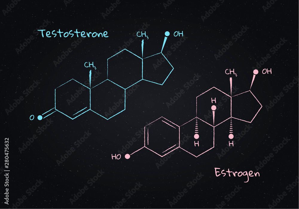 Vector testosterone and estrogene structure banner illustration set ...