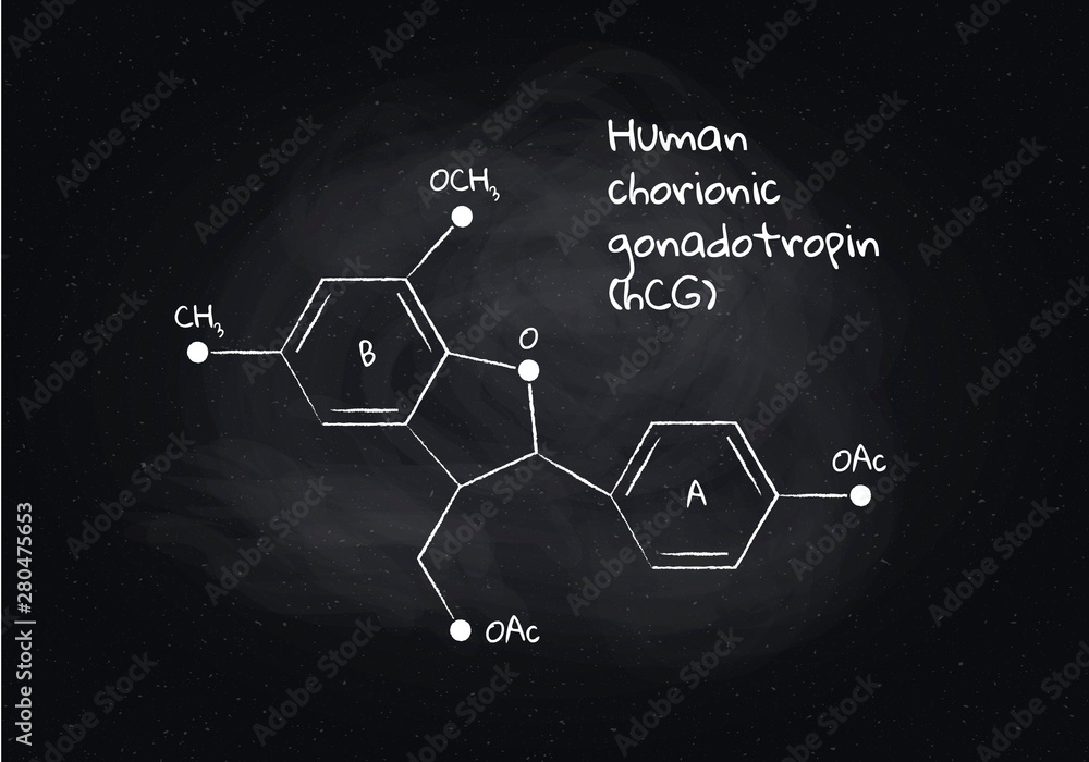 Vector hcg structure banner illustration. Hormone associated as ...