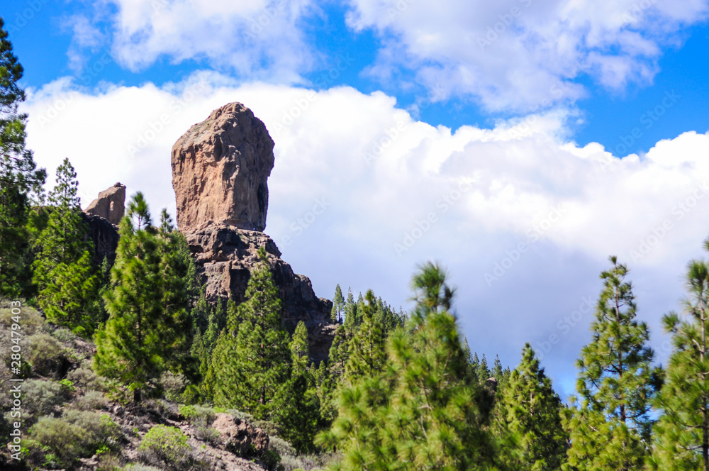 Roque Nublo volcanic monolith rock surrounded by the pine trees with ...