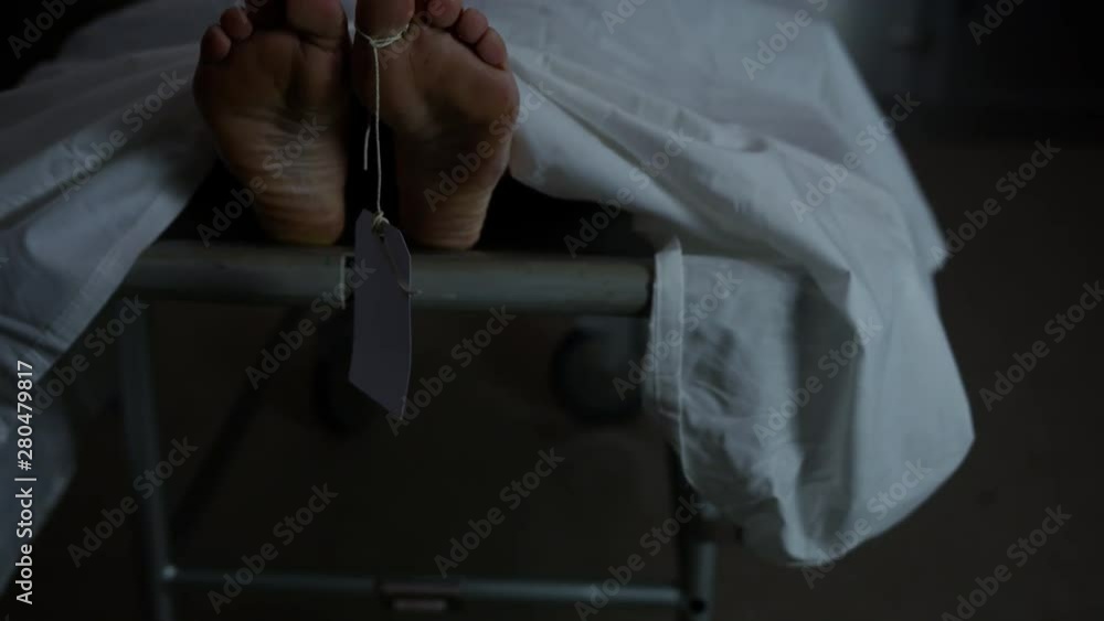 Body on a Gurney in the morgue Stock ビデオ | Adobe Stock
