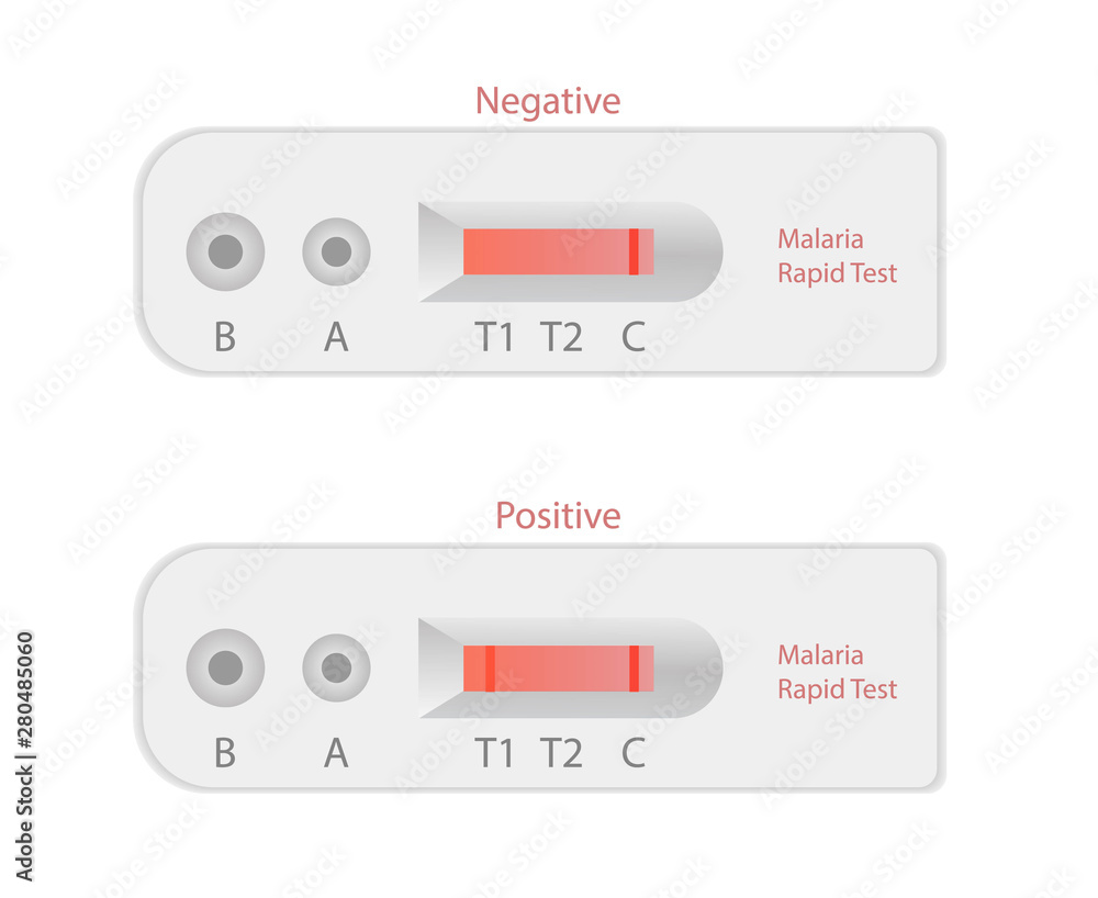 Mlaria test isolated on white. Positive and negative rapid malaria ...