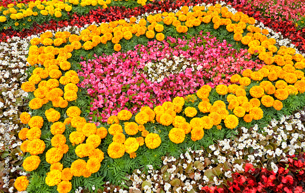 Flower Landscape Design