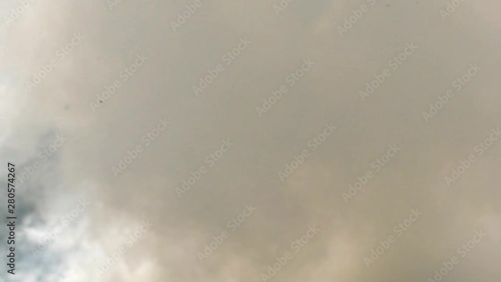 Beginning forest fire - burning and Smoking plants and trees. The ...