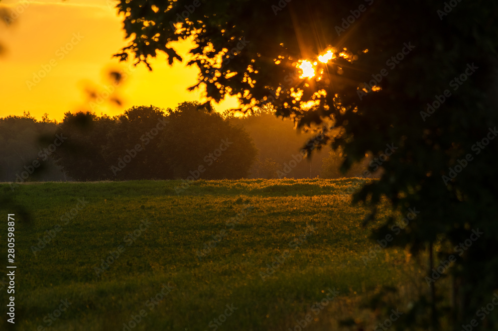 Morning Sunlight Rays