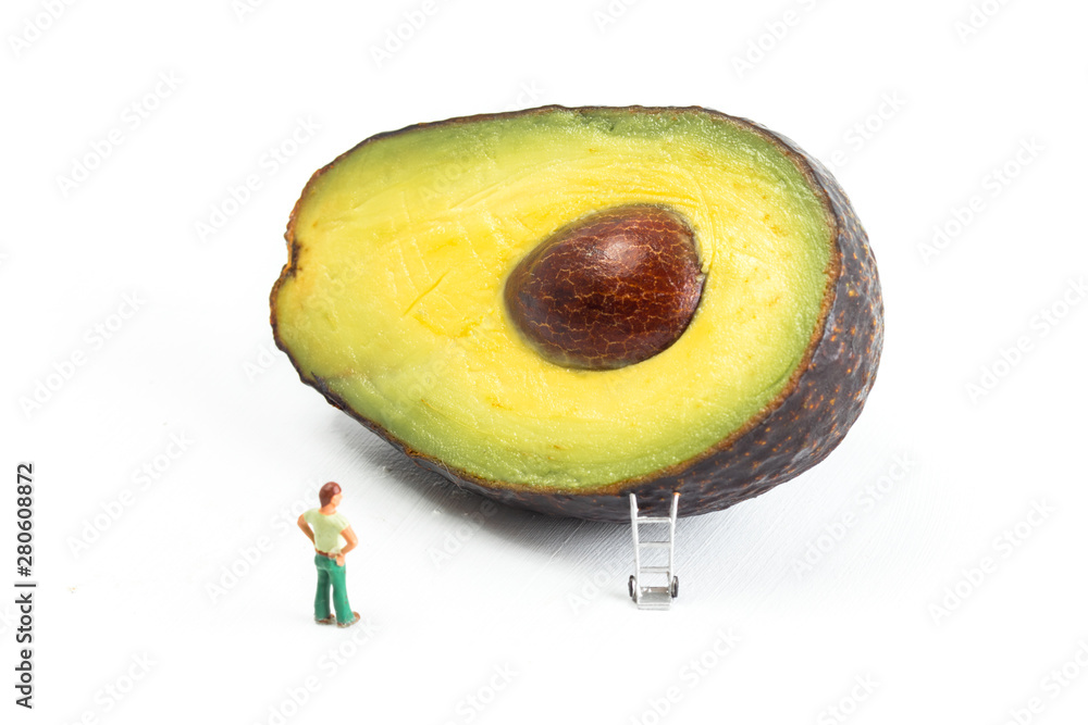 People Working with Food, Miniature people harvesting an Avocado ...