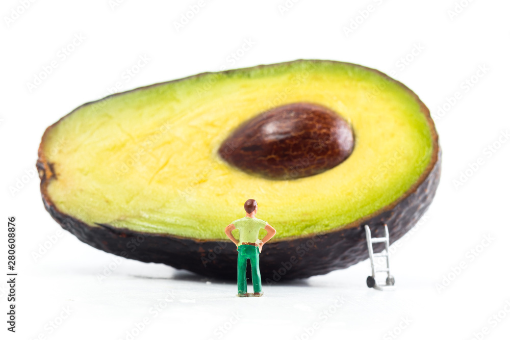 People Working with Food, Miniature people harvesting an Avocado ...