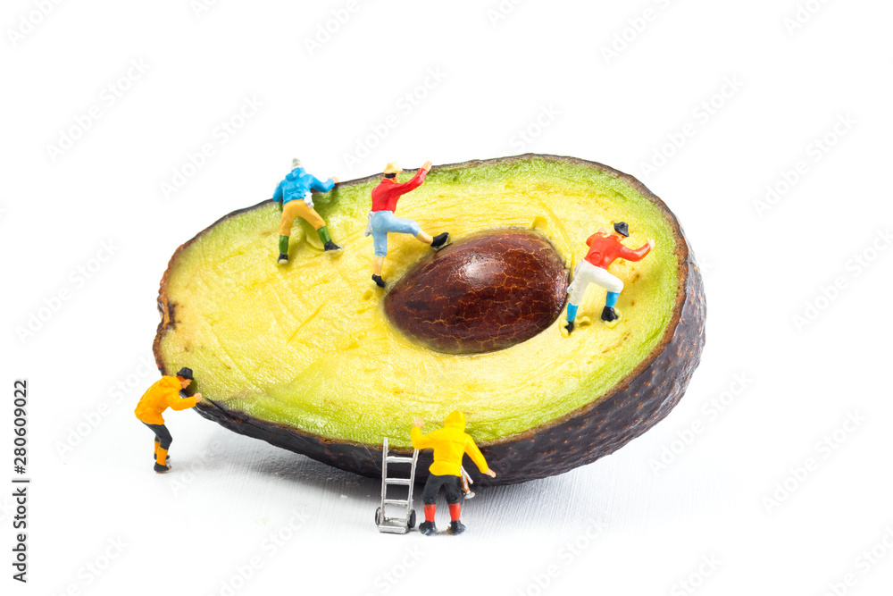 People Working with Food, Miniature people harvesting an Avocado ...