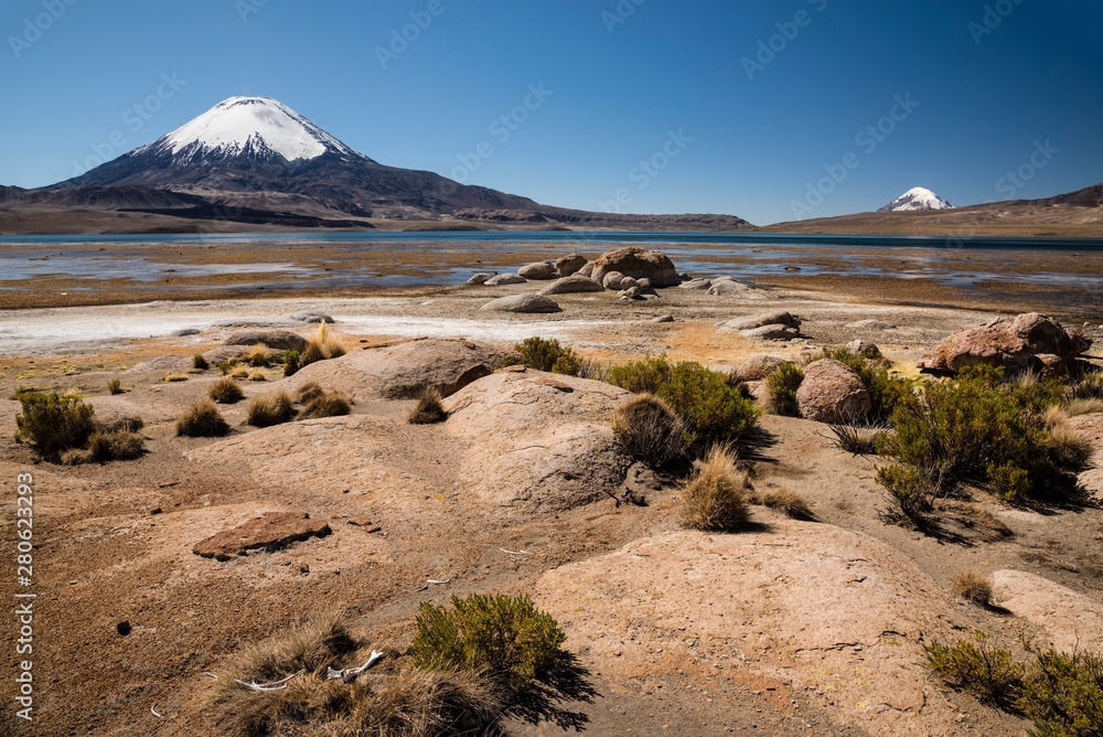 Volcano Parinacota with animal bones in the foreground, altitude 6348m ...