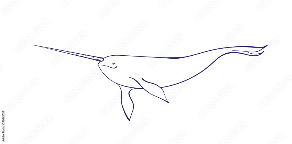 Vector outline cartoon sea narwhal. Graphic underwater animal ...