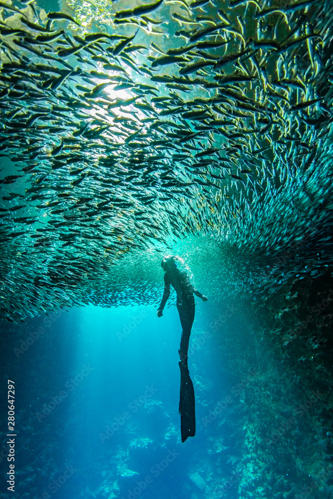 Female free diver with schooling fish underwater in the cavern with ...
