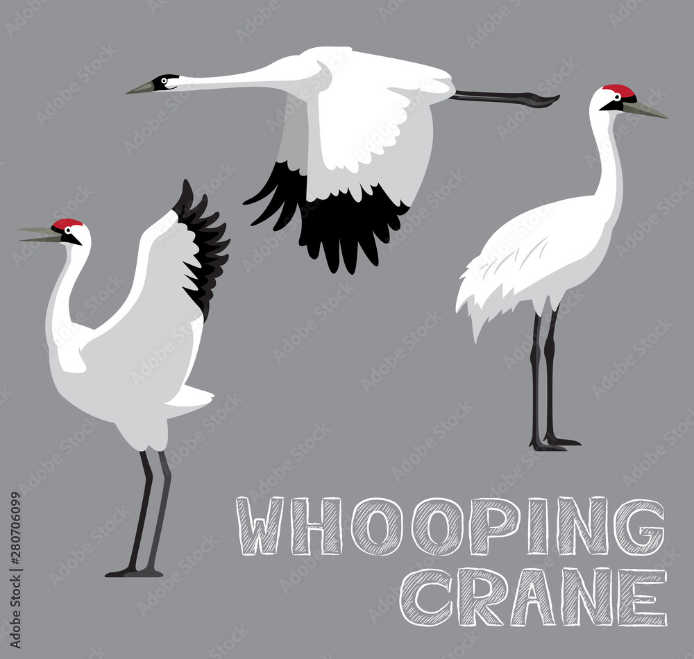Whooping Crane Cartoon Vector Illustration Stock Vector | Adobe Stock
