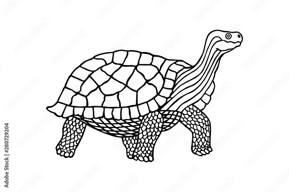 big turtle coloring book. Vector illustration of hand drawing Stock ...