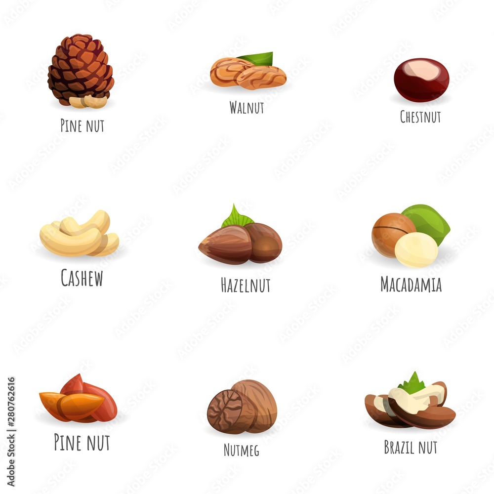 Nuts icon set. Cartoon set of 9 nuts vector icons for web design ...