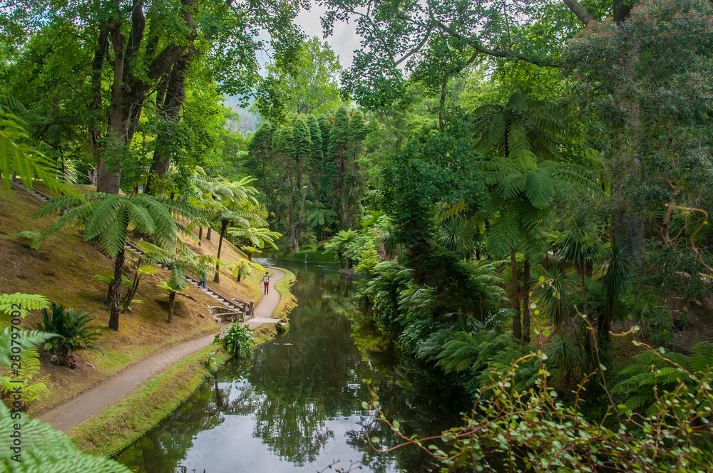 Terra Nostra Park in the Azores is a large botanical garden with a huge ...