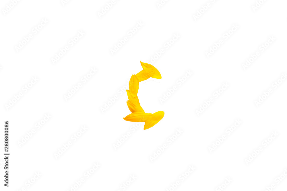 Yellow letter C from young sunflower petals fonts, Paper cut letter C ...