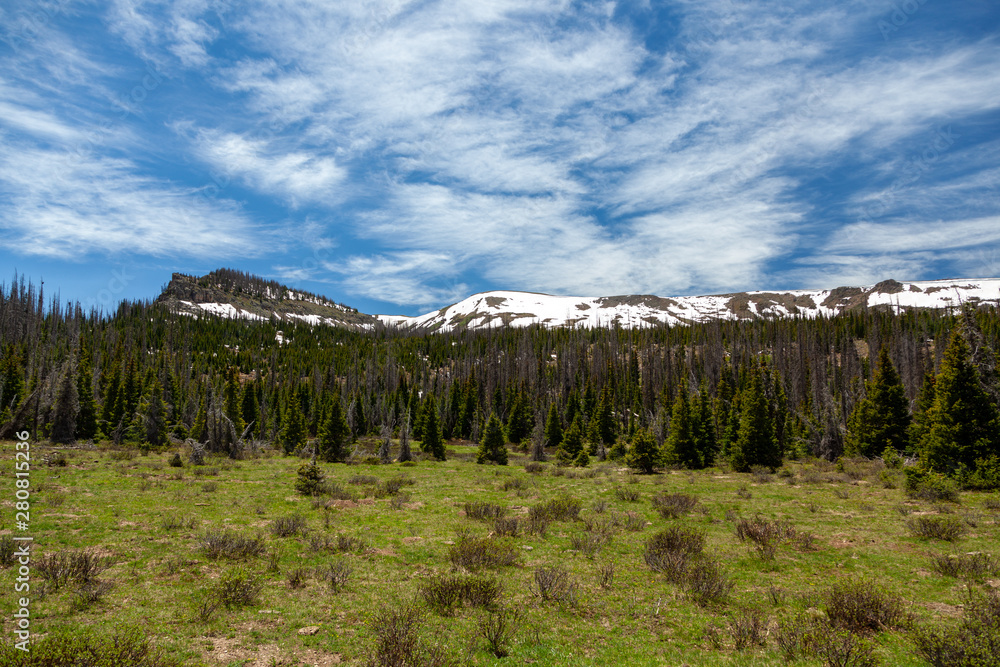 Rio Grande National Forest Six Years After Wildfire Stock Photo | Adobe ...