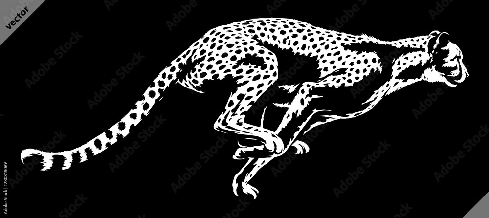 Black And White Cheetah Drawing
