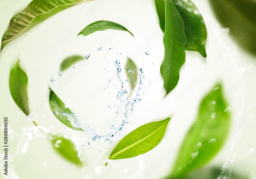 Vividly flying in the air green tea leaves isolated on white background ...