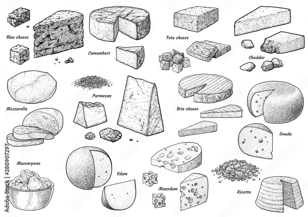 Cheese colelction, illustration, drawing, engraving, ink, line art ...