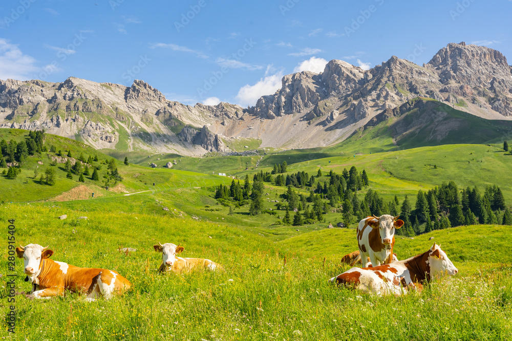 Scenery Alps with cow on green field Stock Photo | Adobe Stock