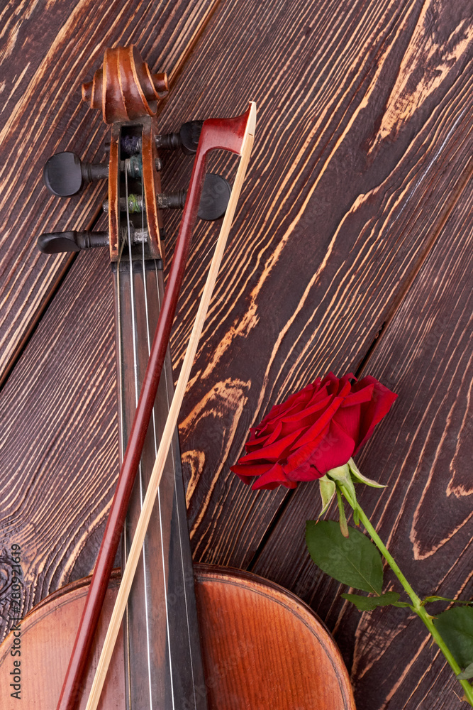 Violin Rose Wallpaper