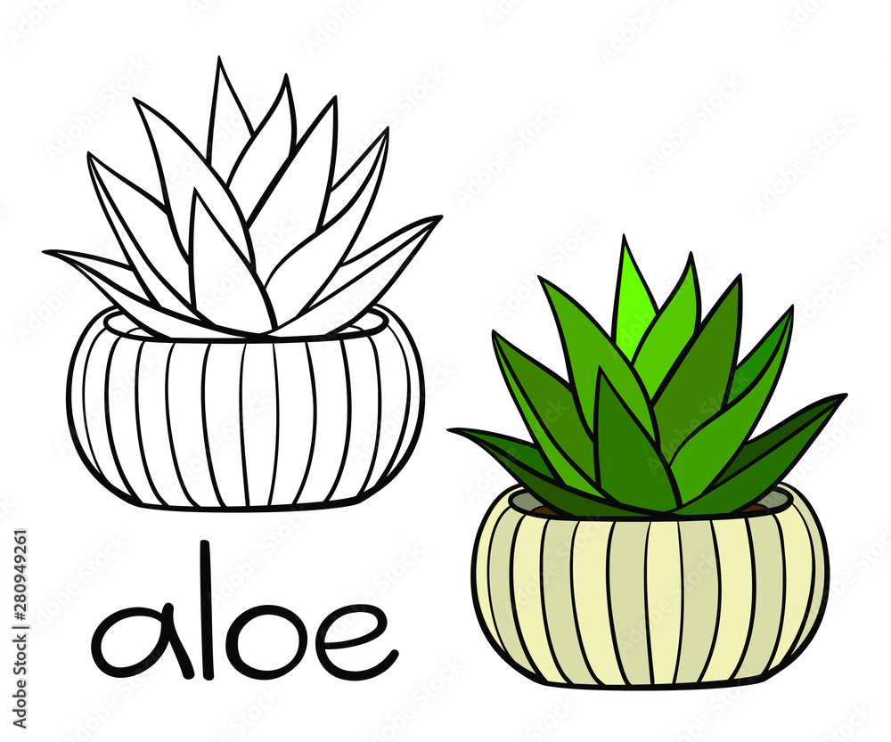A picture of a house plant in a planter. Vector outline illustration ...
