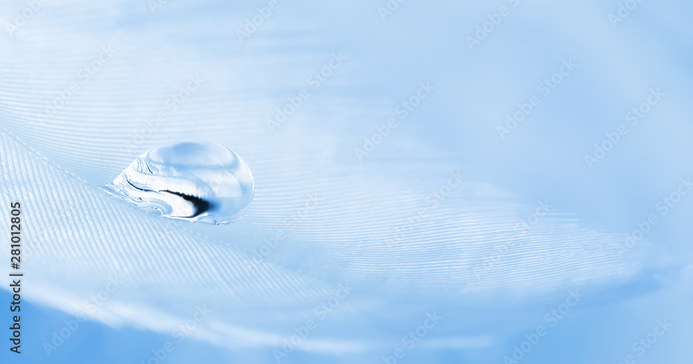 Beautiful large dew drop or rain water on the pastel blue feather ...