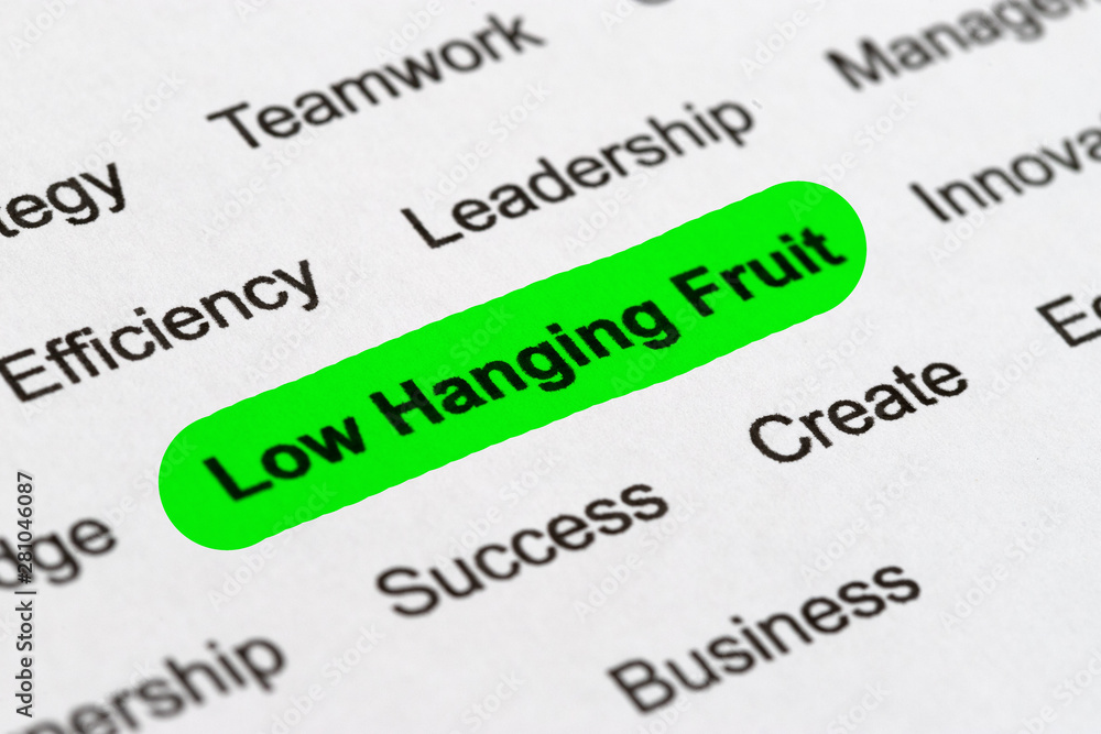 Low Hanging Fruit - Project Management Buzzwords, Printed on White ...