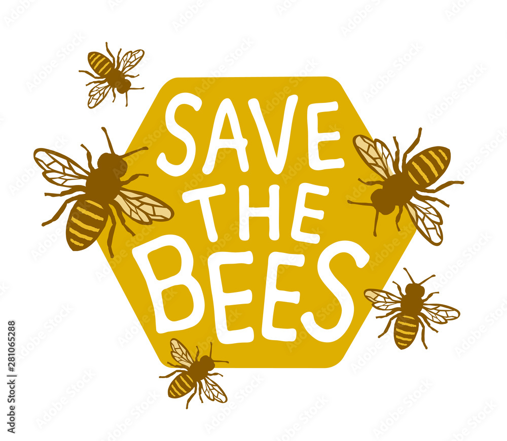 Save The Bees Design with Text Stock Vector | Adobe Stock