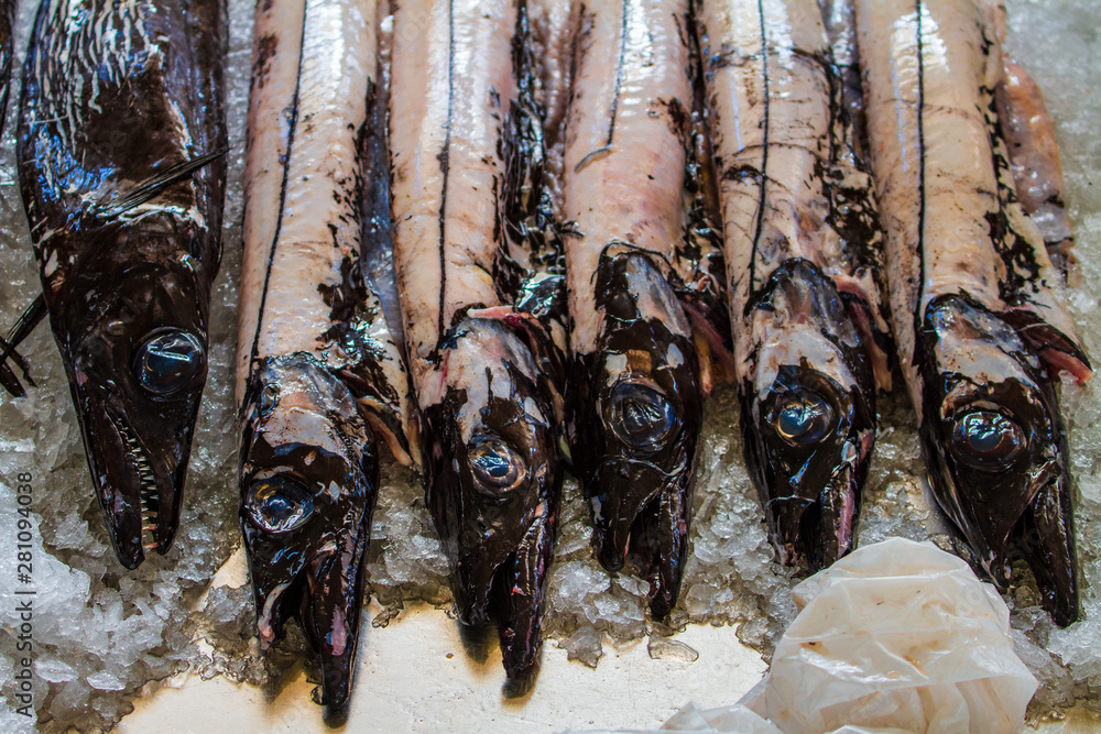 The black scabbardfish is a fish from the Madeira Island region, which ...