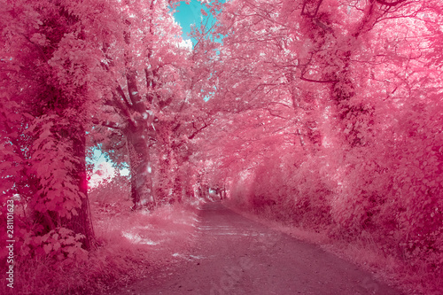 Infrared Photography | The largest selection of gifts and posters | 3+1 ...