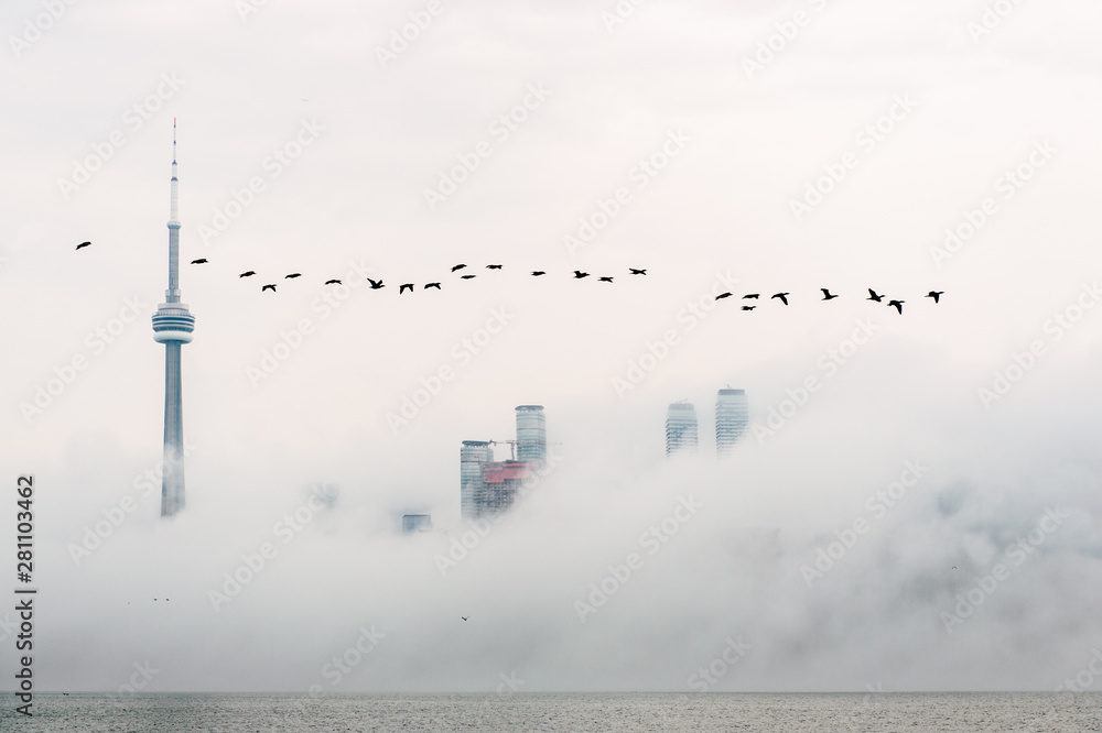 Toronto downtown and CN Tower rising from the fog Stock Photo | Adobe Stock