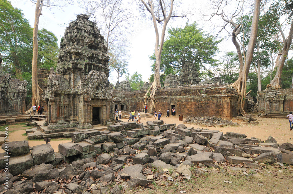 Crocodile Tree in Ta Prohm Temple (tree temple) in Angkor Wat complex ...
