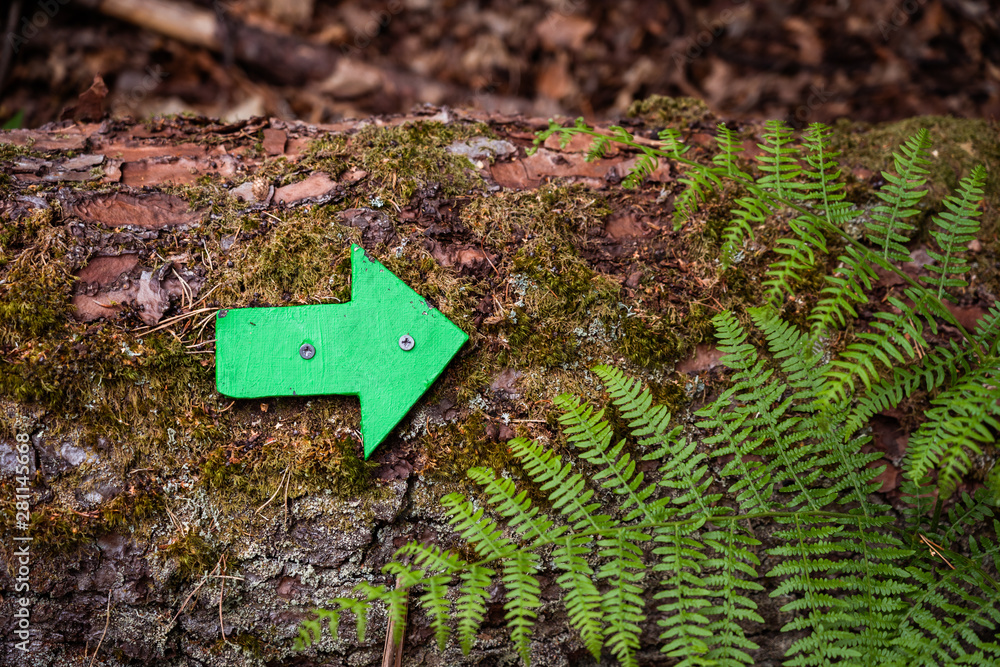 Close up green wooden arrow pointing the direction of the footpath or ...