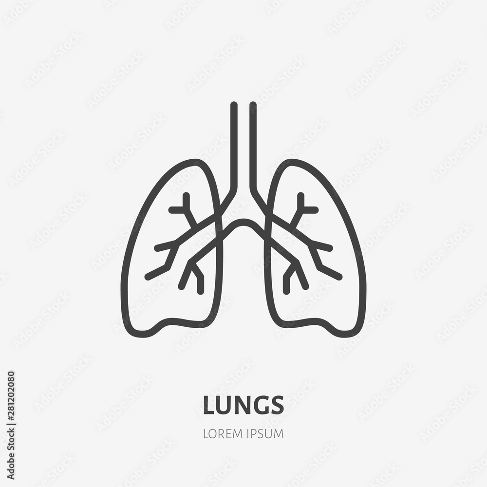 Lungs Flat Line Icon Vector Thin Pictogram Of Human Internal Organ
