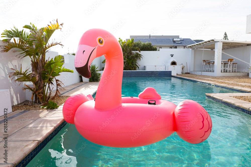 Pink flamingo bird shape inflatable tube floating in a swimming pool in ...