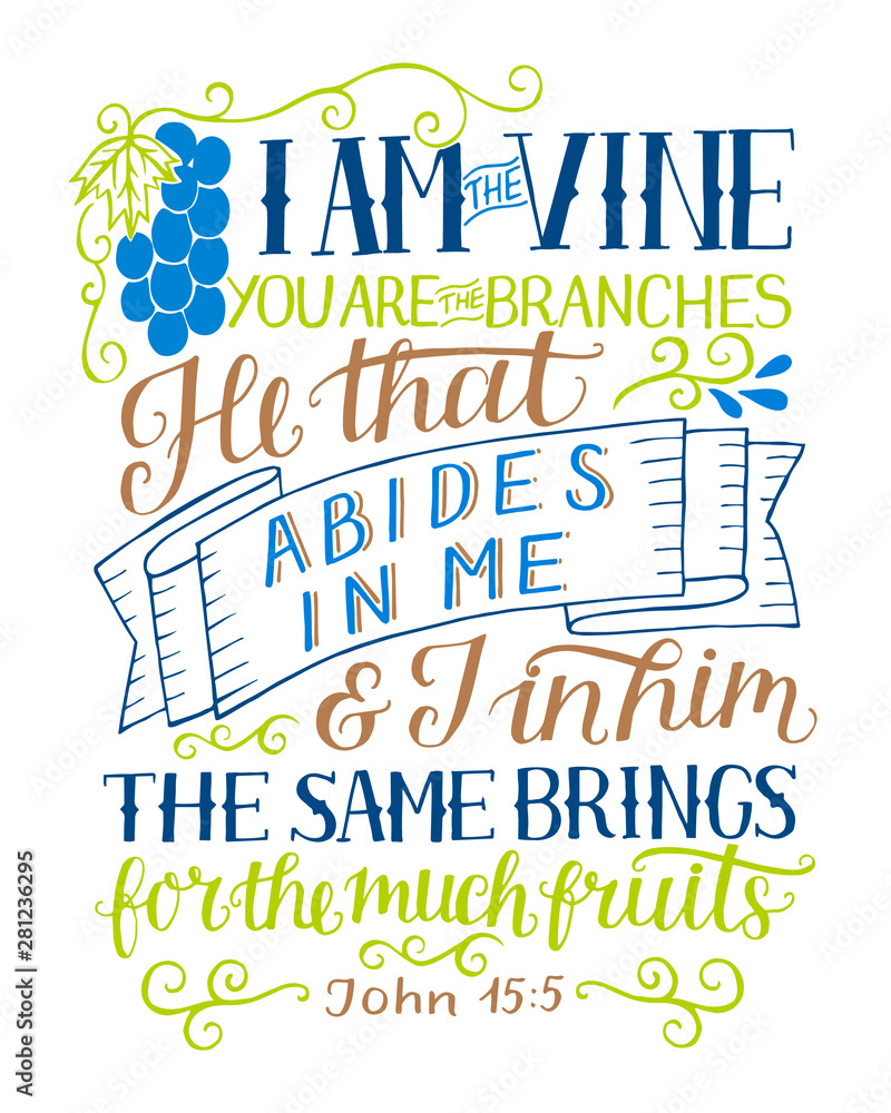 Hand lettering with bible verse I am the vine, you are the branches ...