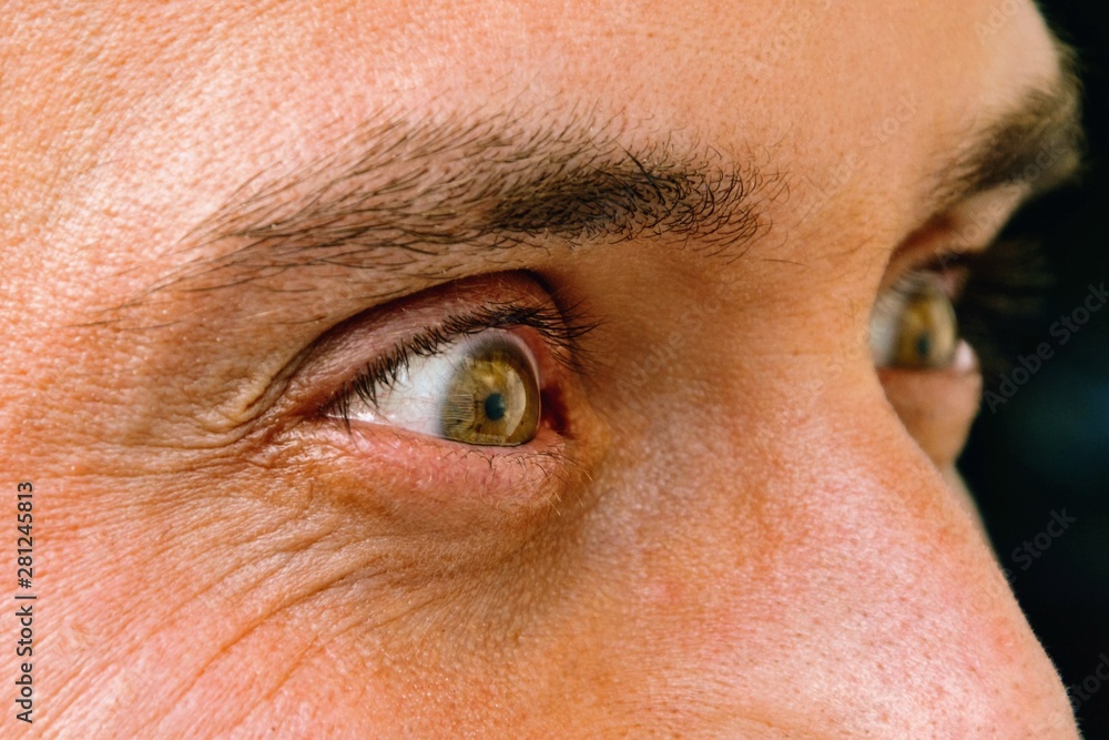 Side view, profile view. Side view closeup of human eyes. Details of a ...