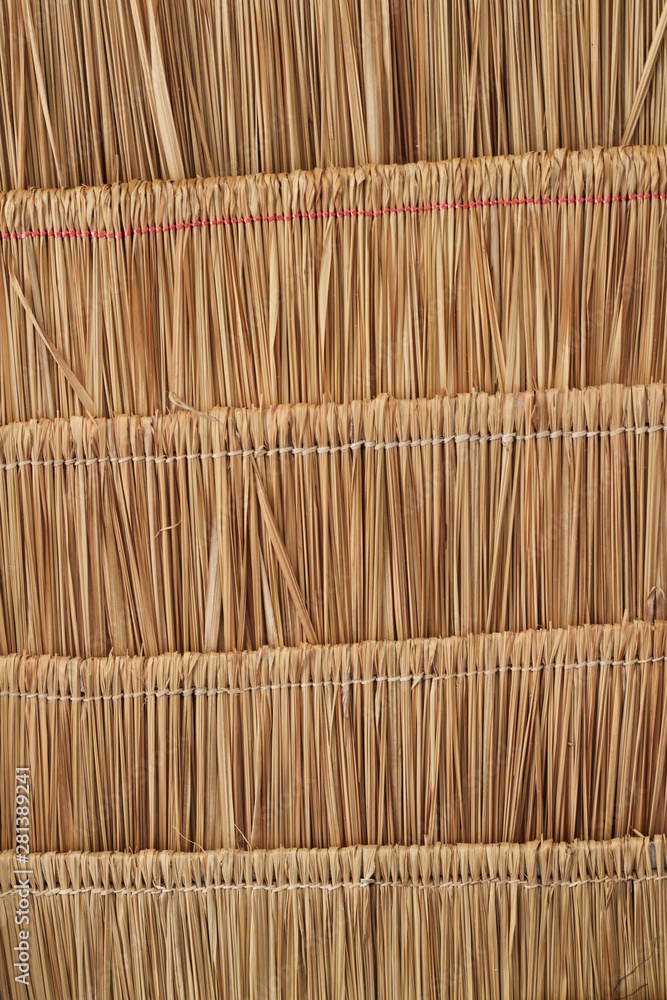 bamboo texture background Stock Photo | Adobe Stock