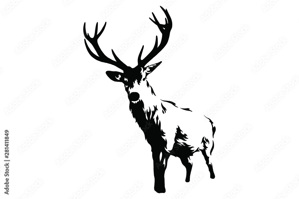 Deer vector black and white hand drawn illustration. Stock Vector ...