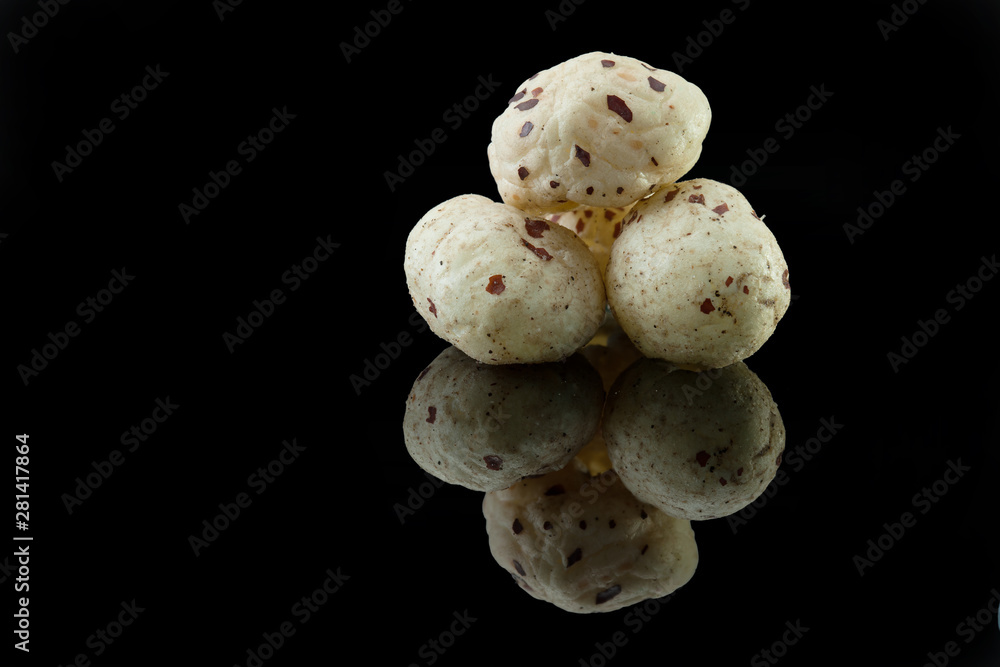 FOX NUT Stock Photo | Adobe Stock