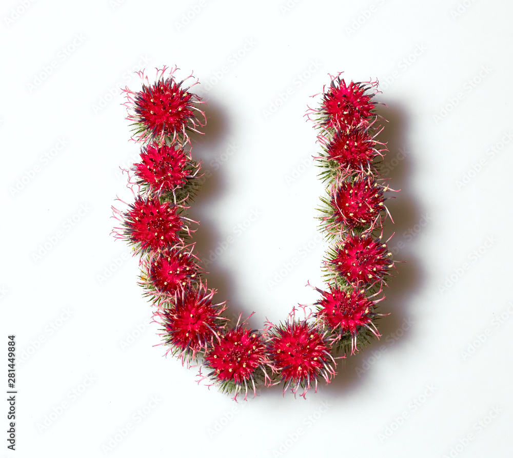 The letter of the colors. This is only one letter from the whole ...