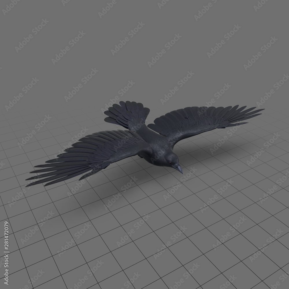 Crow flying Stock 3D asset | Adobe Stock